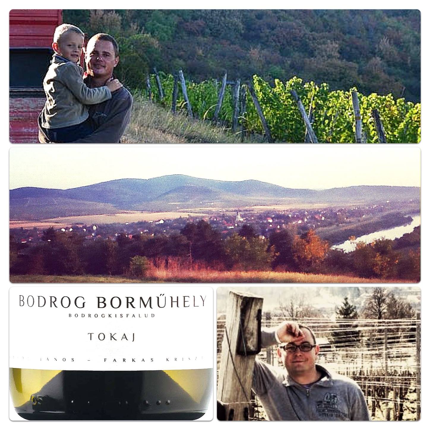 Bodrog Borműhelyハンガリーワイン協会 ハンガリーワイン ハンガリーワイン協会 ハンガリーワイン情報 ハンガリーニュース ハンガリー情報